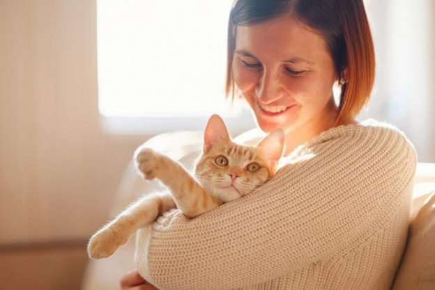 10 Señales de que tu gato está obsesionado contigo - Cats.com