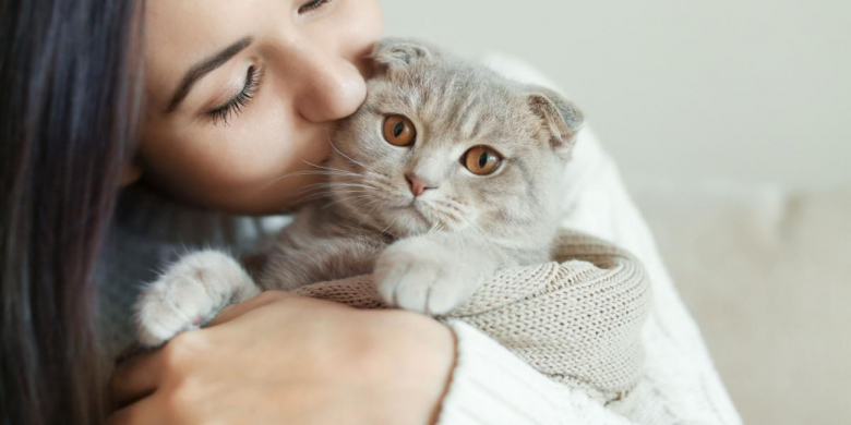 ¿A los gatos les gustan y entienden los besos? - Cats.com
