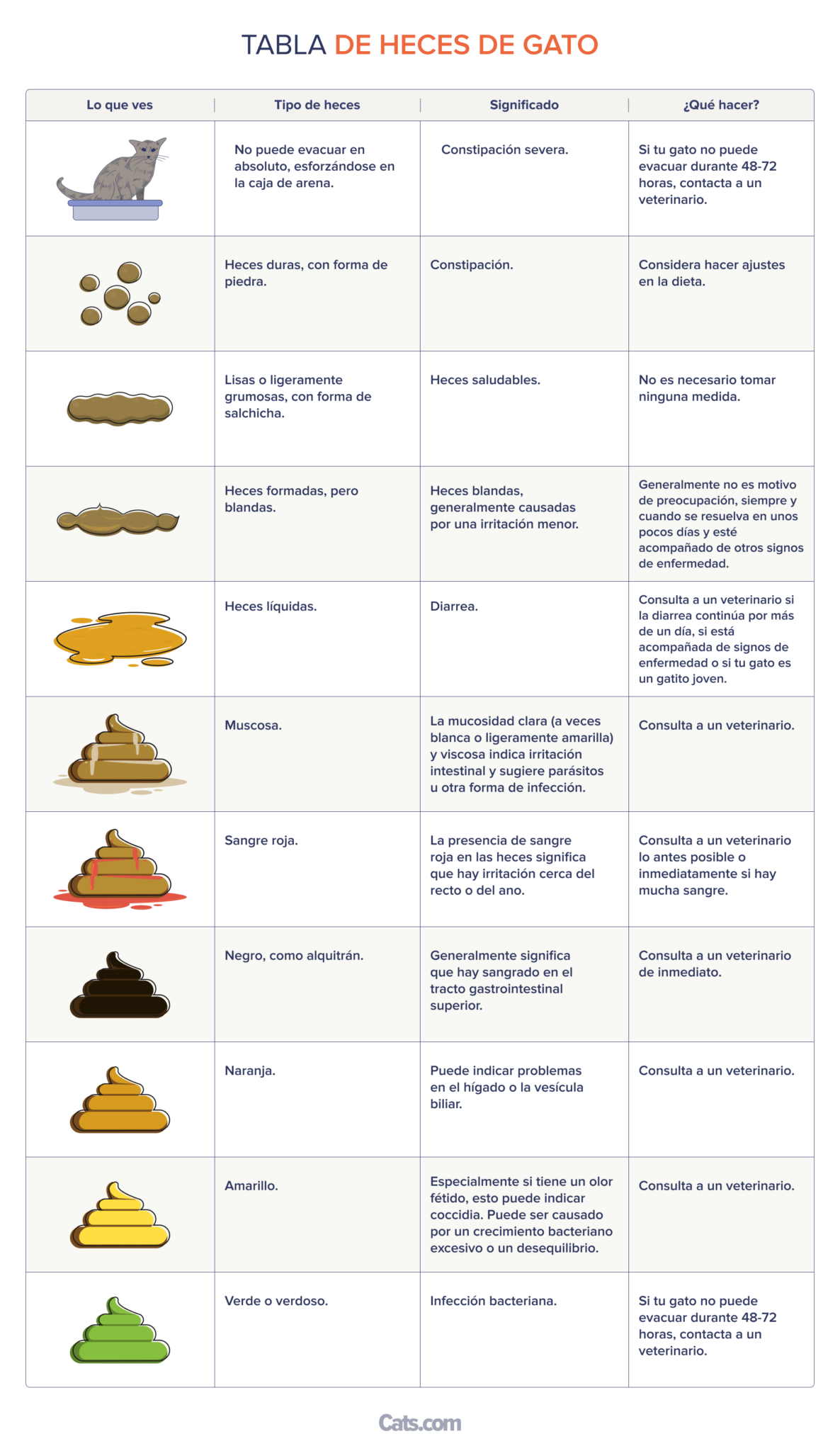 Infografía de heces de gato aprobada por veterinarios - Cats.com
